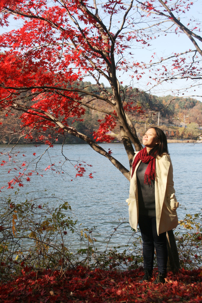 Nami Island in Autumn: Day Trip From Seoul During Fall | Oh My Janey