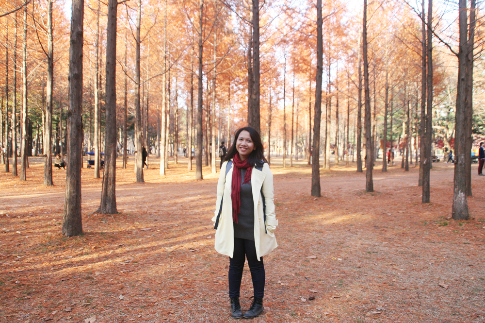 Nami Island in Autumn: Day Trip From Seoul During Fall | Oh My Janey Nami Island in Autumn: Day Trip From Seoul During Fall | Oh My Janey