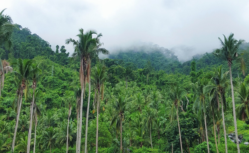 Baler Travel Guide: 2D1N Itinerary & Expenses | Oh My Janey